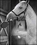 Ready For Mr Ed: The Movie? | Movies | Empire