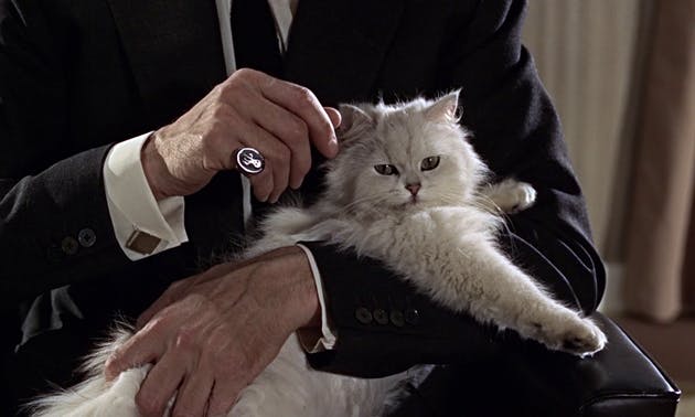 Blofeld And SPECTRE Could Be Back For Bond | Movies | Empire
