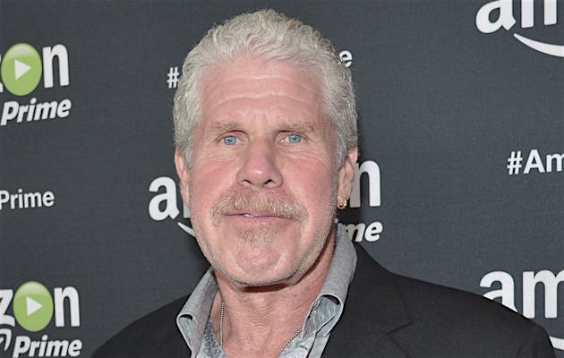 Ron Perlman Part Of Fantastic Beasts And Where To Find Them | Movies ...