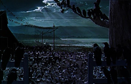 The Birds At 50: 9 Moments Of Visual Genius | Movies | Empire