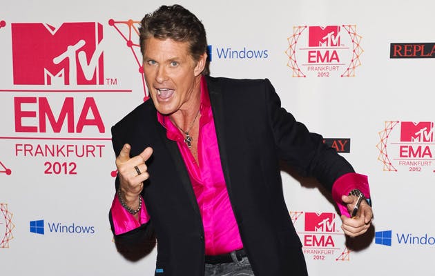 David Hasselhoff 2012