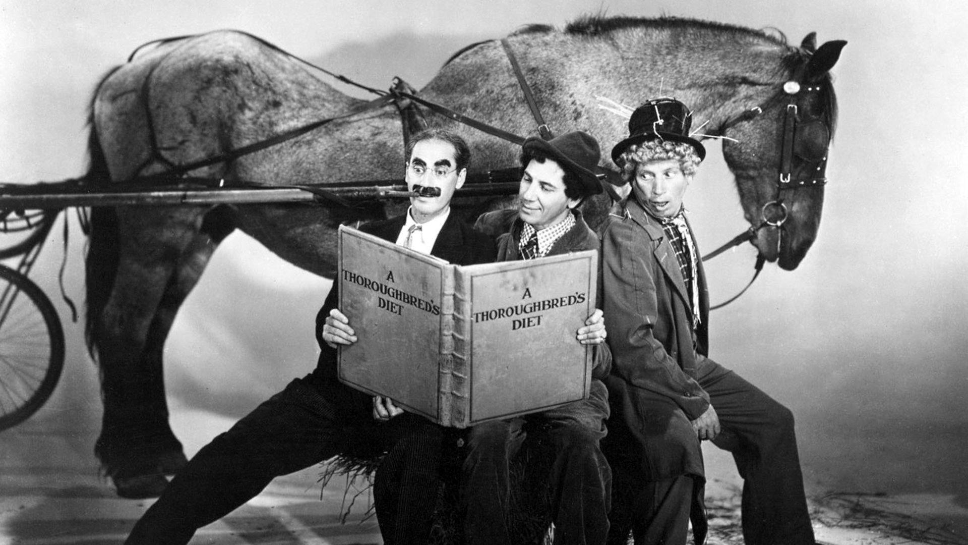 A Day at the Races Review | Movie - Empire