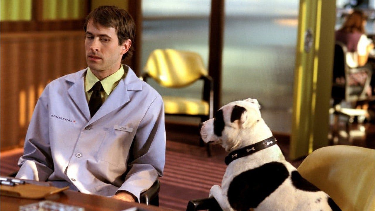 Stealing Harvard Review | Movie - Empire