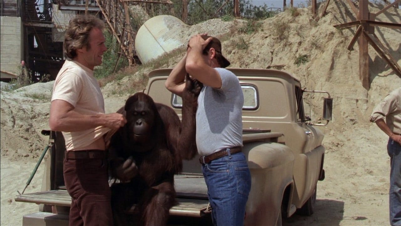 Any Which Way You Can Review | Movie - Empire