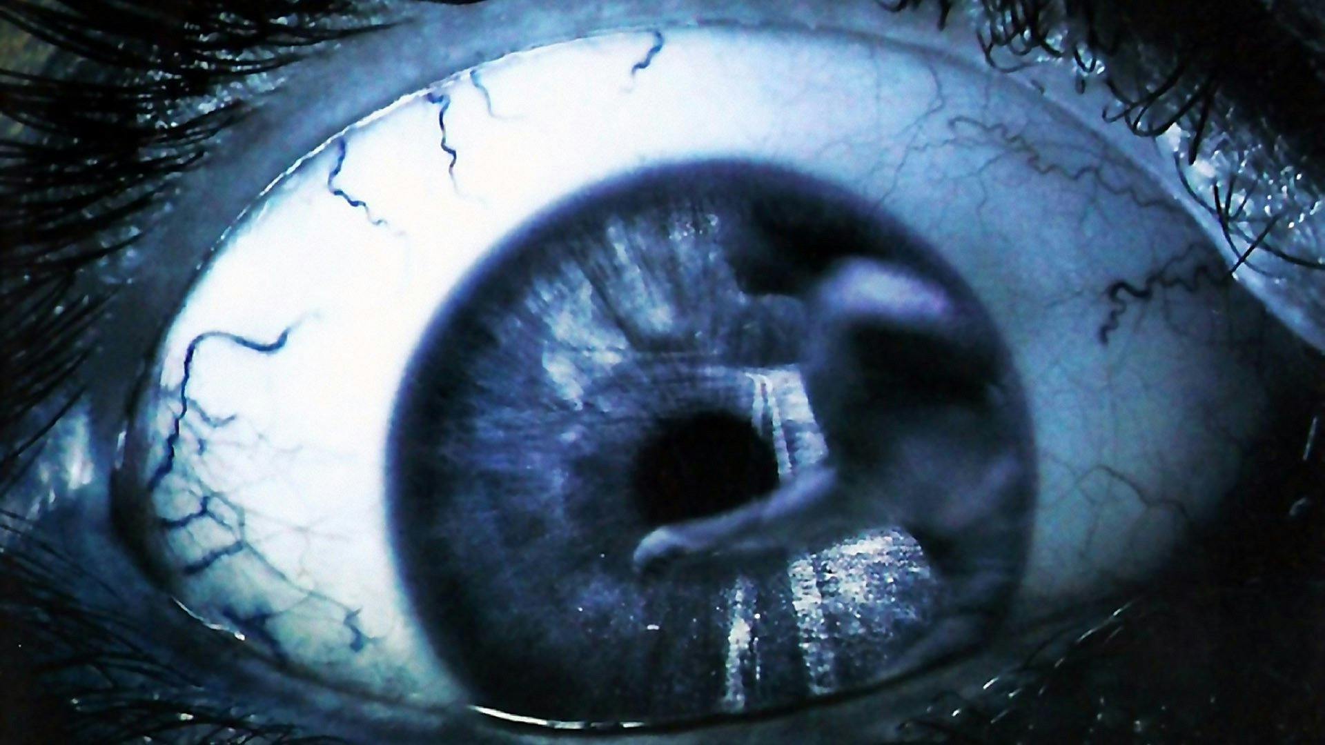 KM 31 Review | Movie - Empire