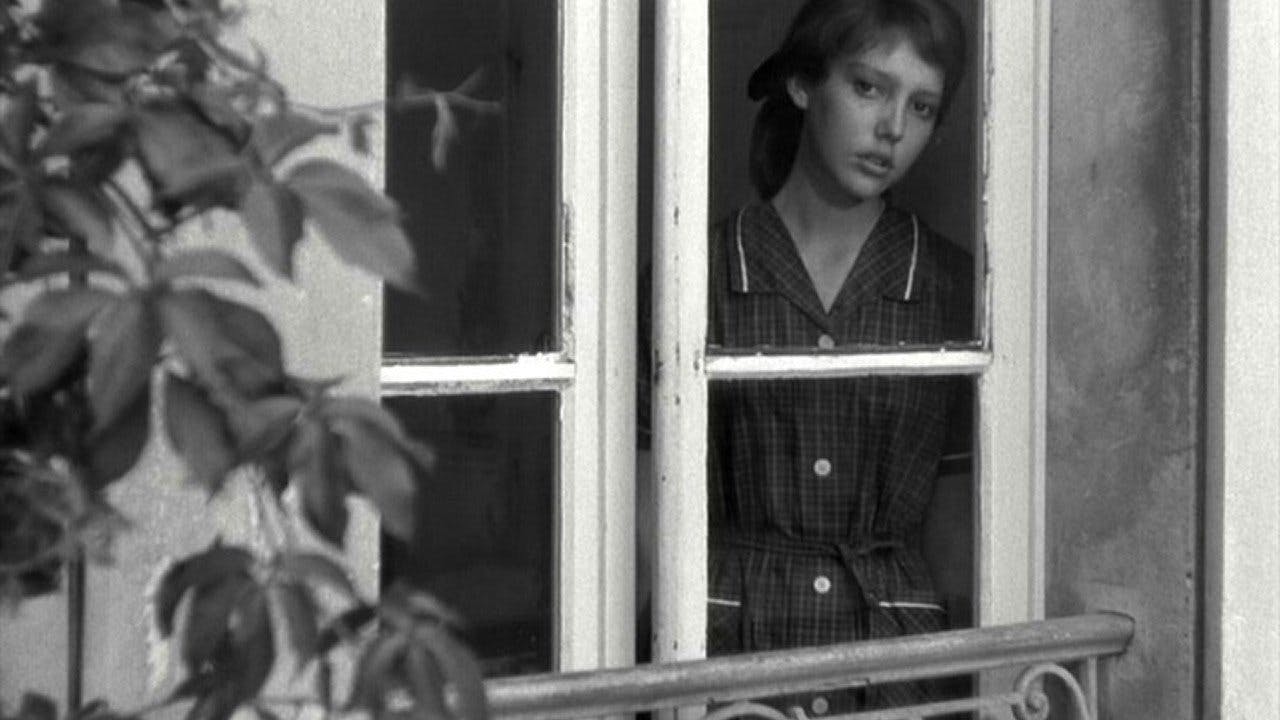 Au Hasard Balthazar Review | Movie - Empire