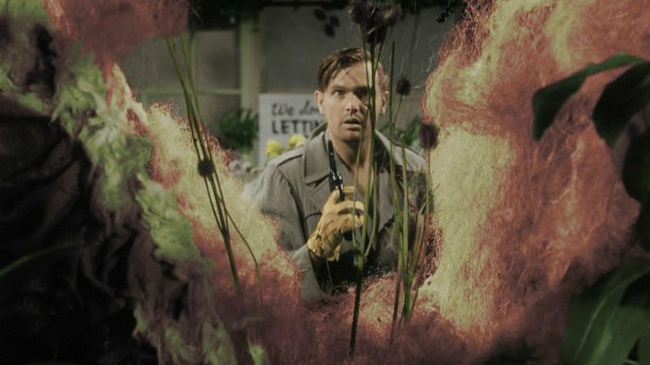 The Little Shop Of Horrors Review | Movie - Empire
