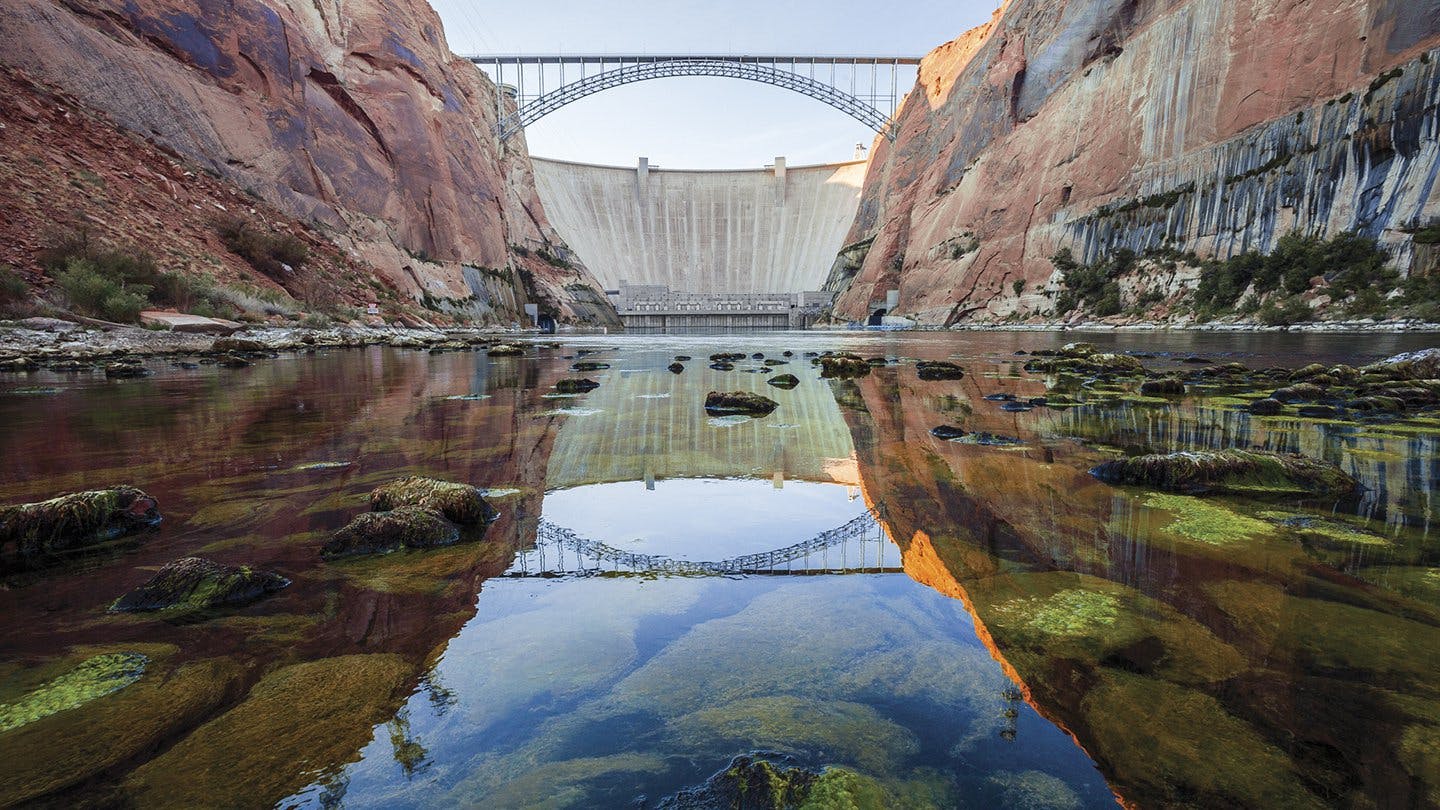 Damnation Review | Movie - Empire