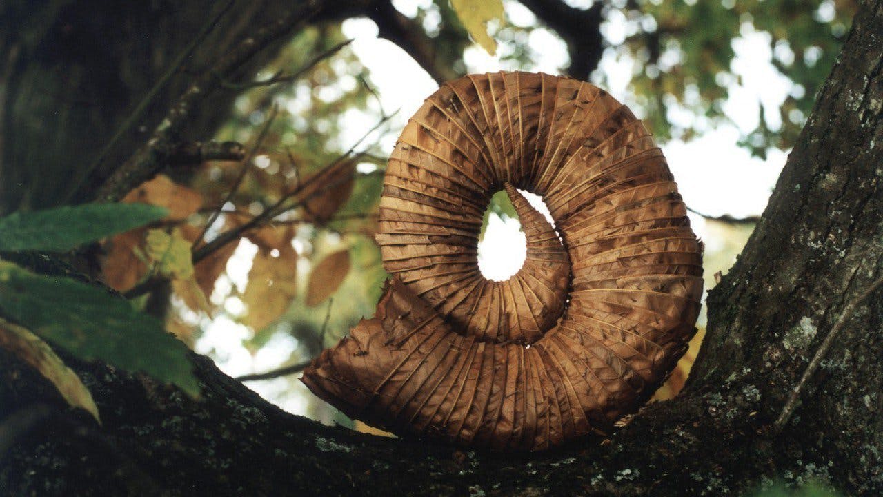 Andy Goldsworthy Rivers And Tides