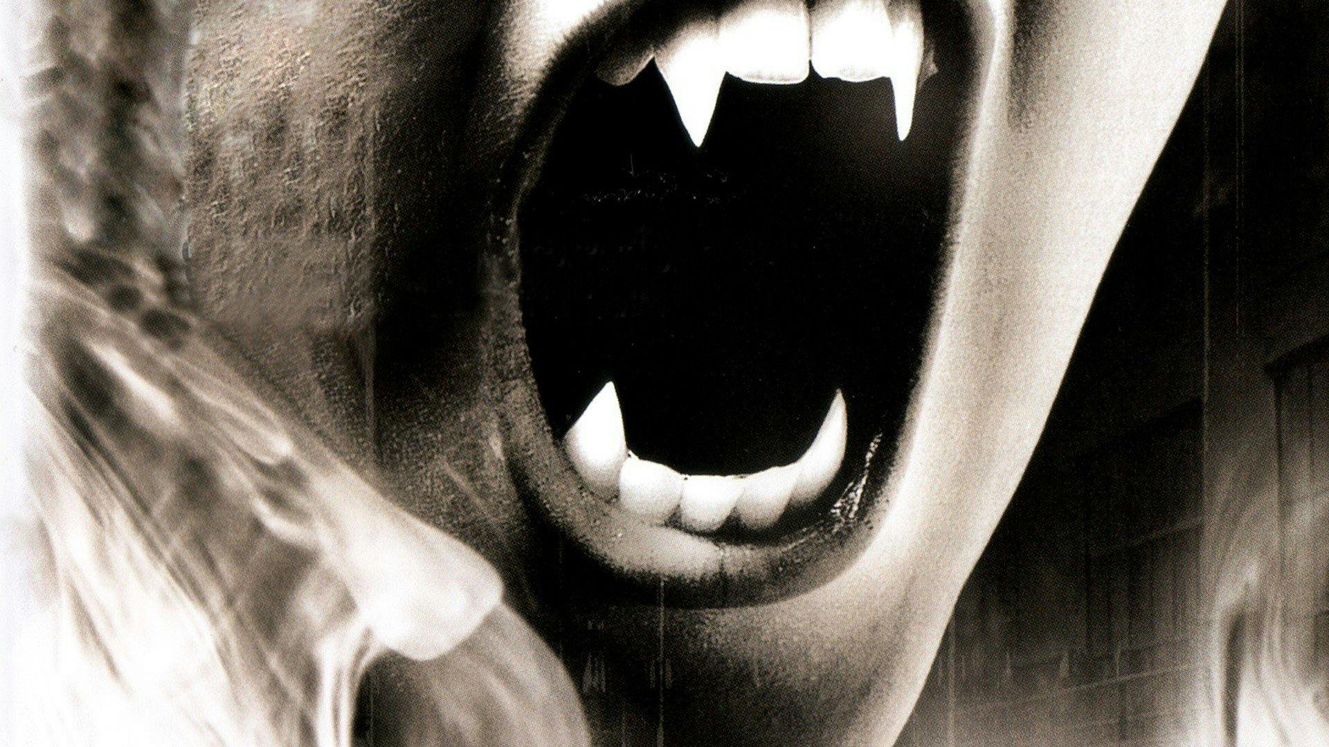 The Addiction Review | Movie - Empire