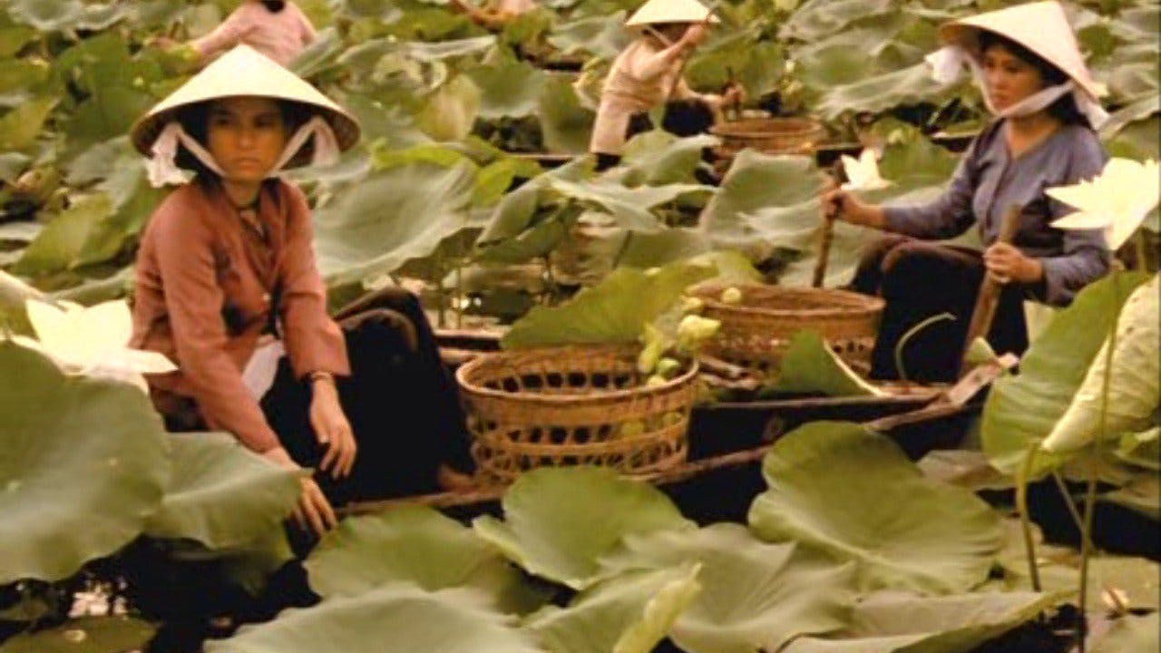 Three Seasons Review | Movie - Empire