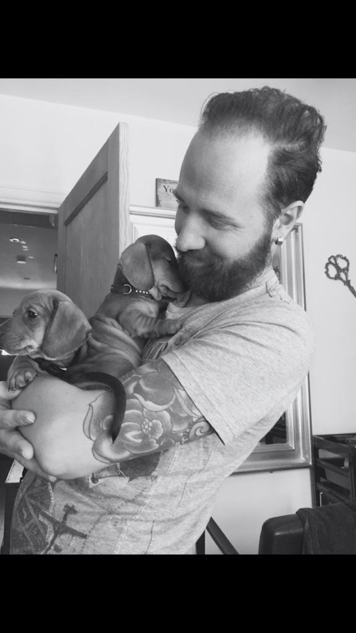 Meet the Gogglebox family pets – from Dave the rottweiler to Buster the ...