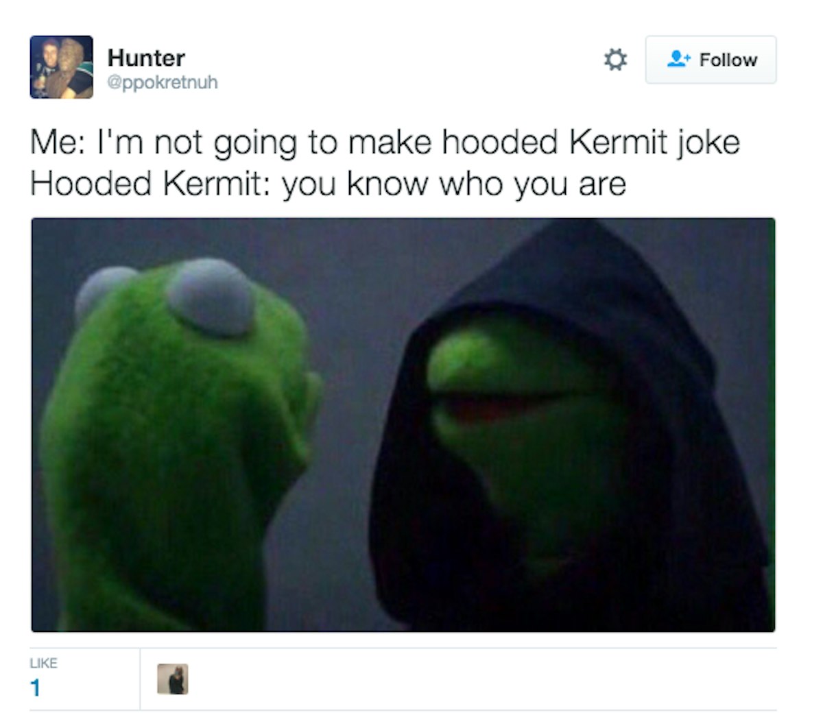 11 of the BEST hooded kermit memes - heat