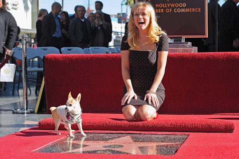 This Is How You Get A Star On The Hollywood Walk Of Fame