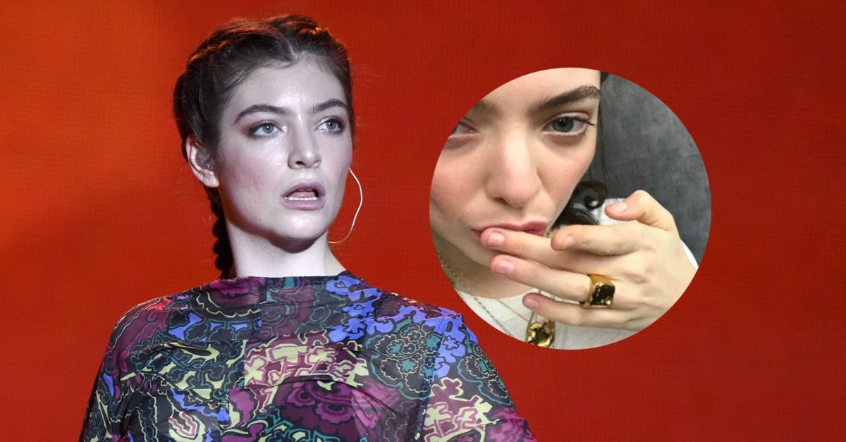 Does Lorde have a really WEIRD onion ring Instagram account? - heat