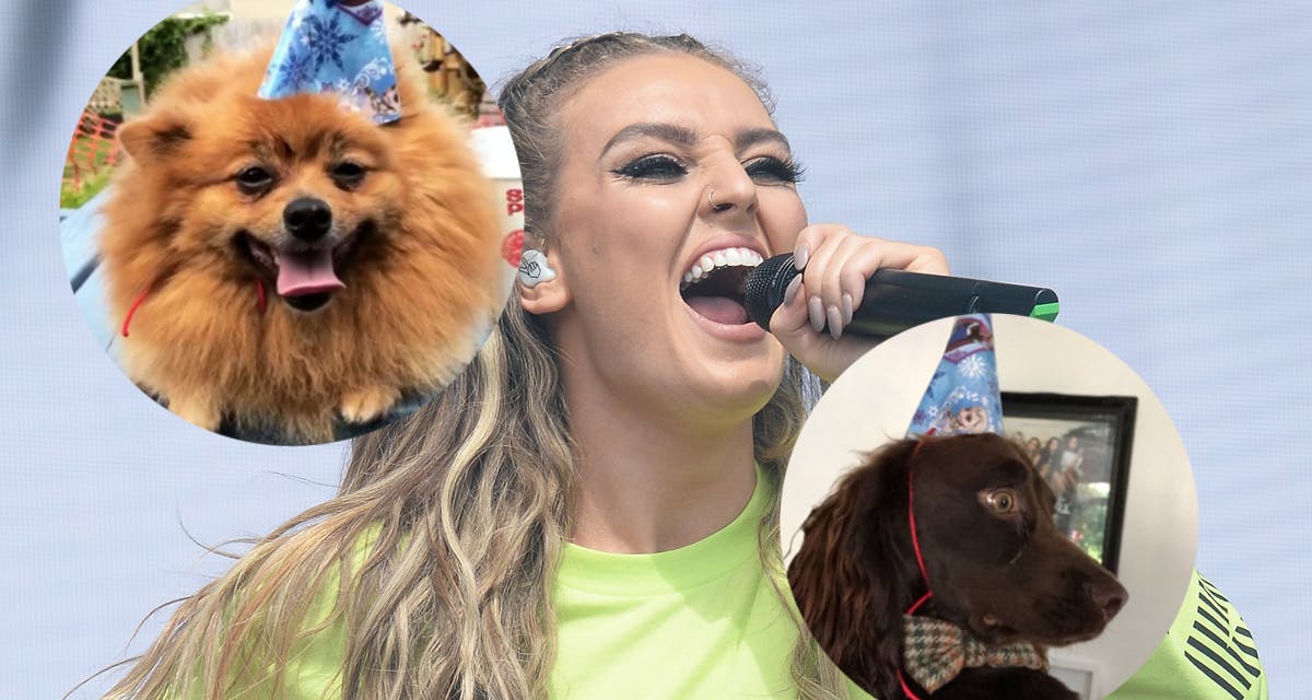 Perrie Edwards had the dog-filled 24th birthday party of dreams ...