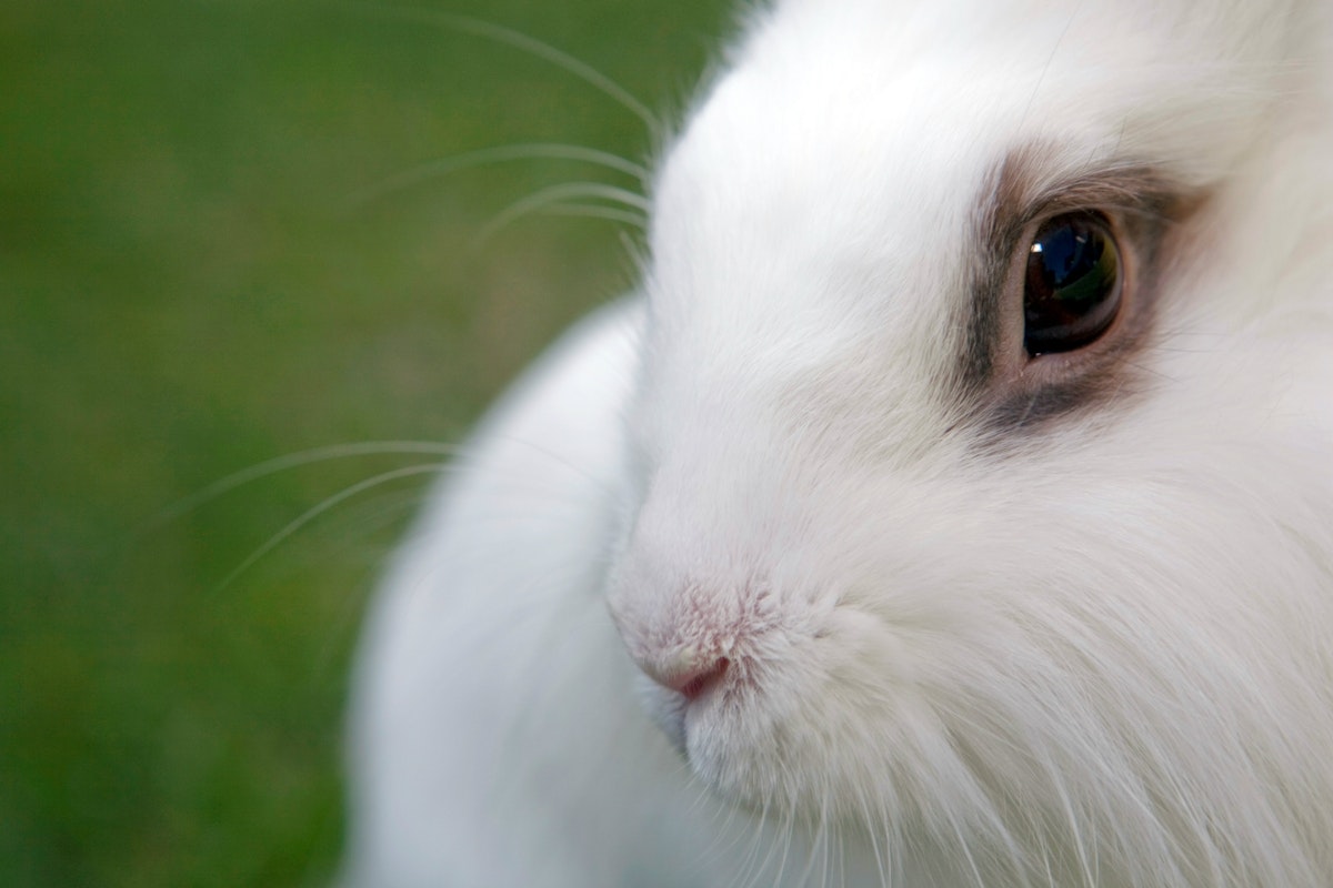 Why do we all say 'pinch punch first day of the month'? - Closer