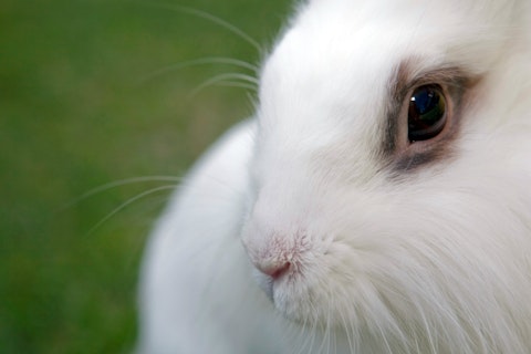 Why do we all say 'pinch punch first day of the month'? - Closer