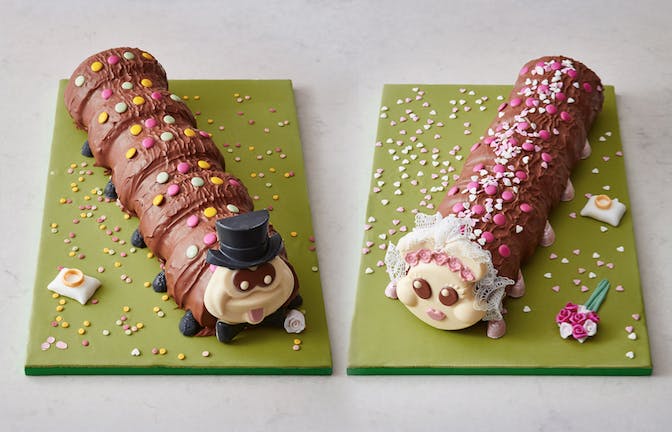 M&S Colin the Caterpillar and Connie the Caterpillar wedding cakes - Closer