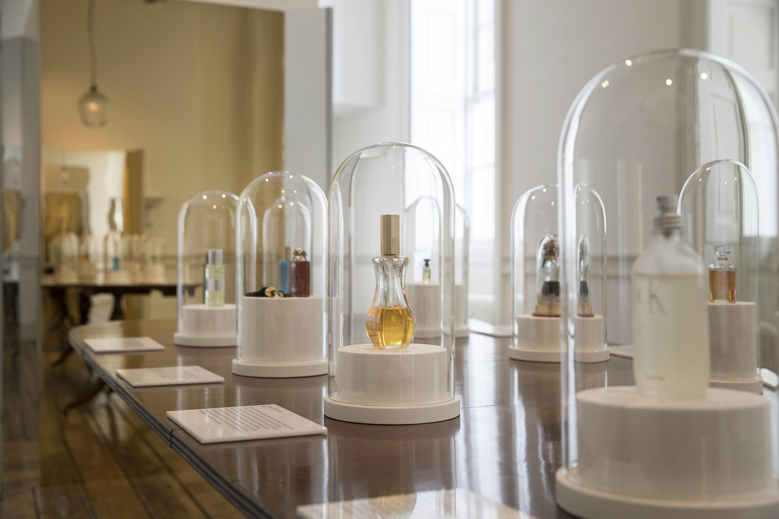 This Must See Fragrance Exhibition Will Change The Way You Smell | Grazia