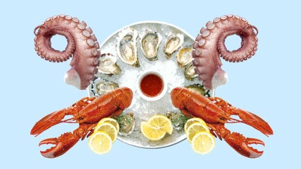 An Australian Rapper Called 2Pec Ran Into The Sea To Avoid Paying A ...