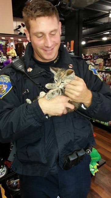 Handsome AND he rescues kittens: Could this police officer be the most ...
