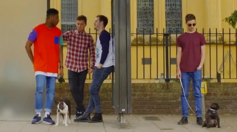 Loveable Rogues’ new music video Love Sick, featuring CUTE DOGS ...