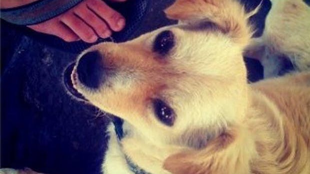 Instagram's First Photo Is Four Years Old, Here Are Some Things We've ...