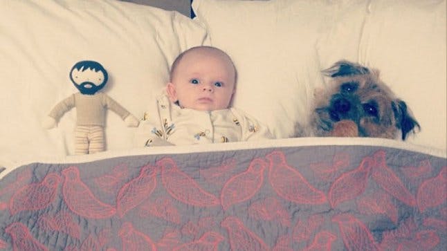 VIDEO: Watch as adorable dog rocks a newborn baby to sleep | Closer