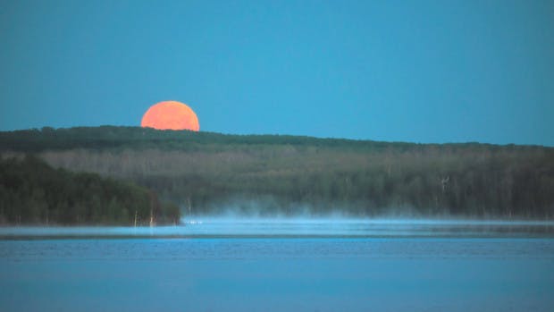 There Will Be A Strawberry Moon Tonight. Here’s What That Means.