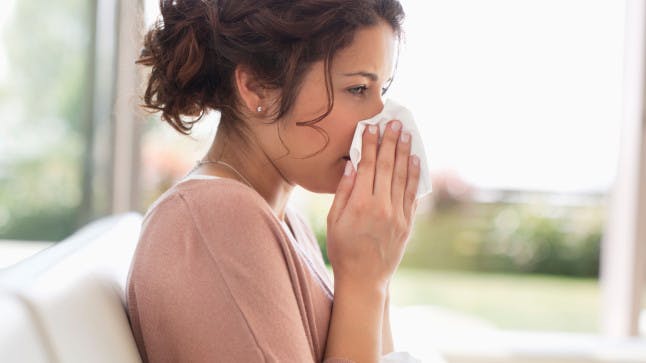 The household pests that make you sick – and how to get rid of them ...