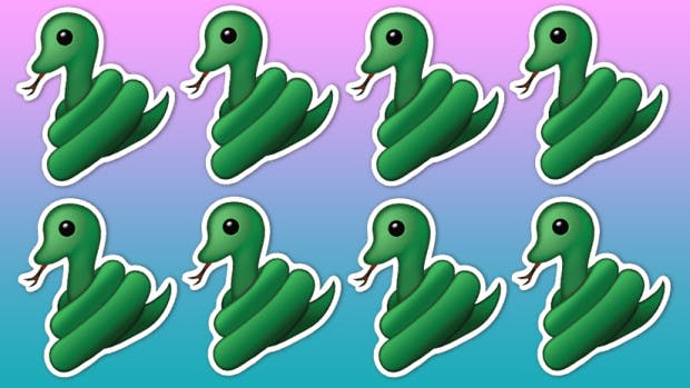 A New Snake Species Has Been Discovered In The Bahamas And It’s Really ...