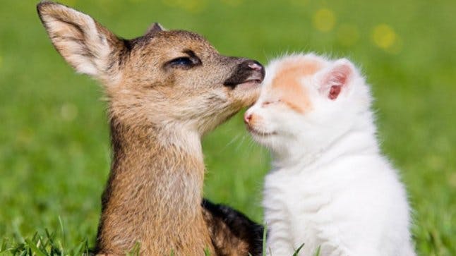 Spring has sprung: Check out our adorable collection of this season’s ...