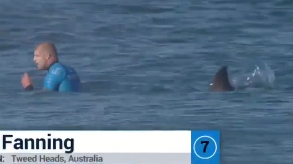 Surfer punches shark and lives to tell the tale | Entertainment | Heat