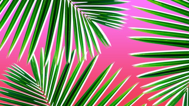 13 Outstanding Things To Buy With Palm Prints On Them