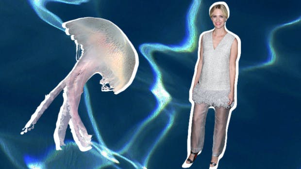 Weird Trends: Sheer Trousers. Really?