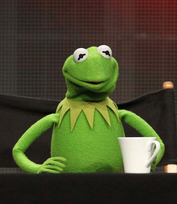 Kermit Auto Kermit The Frog Gets New Voice Actor After 27 Years