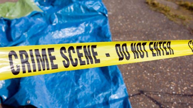 Horrified husband hears wife stabbed to death in front of children over ...