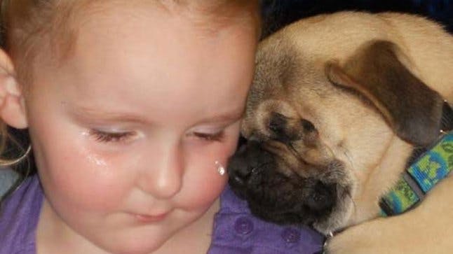 This blind pug has dedicated his life to helping victims of child abuse ...