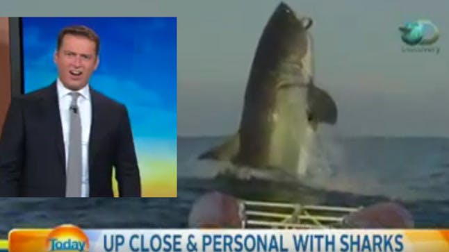 News anchor left speechless during shark report: ‘That’s the biggest ...