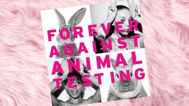 Sign This To End Worldwide Animal Testing On Cosmetic Products And ...