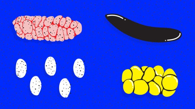 What Your Poo Says About You