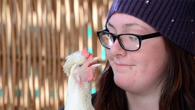Blind pet chicken brought back to life by CPR after falling into ...