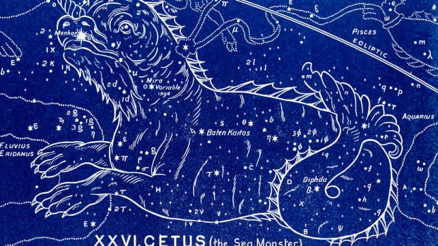 Sea Monster Spotted On Google Earth Near Antartica