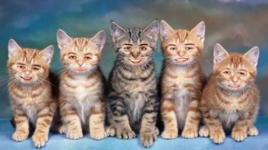 Ever wondered what One Direction would look like if they were in fact ...