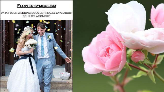 The symbolism of wedding flowers – and what they REALLY mean for your ...