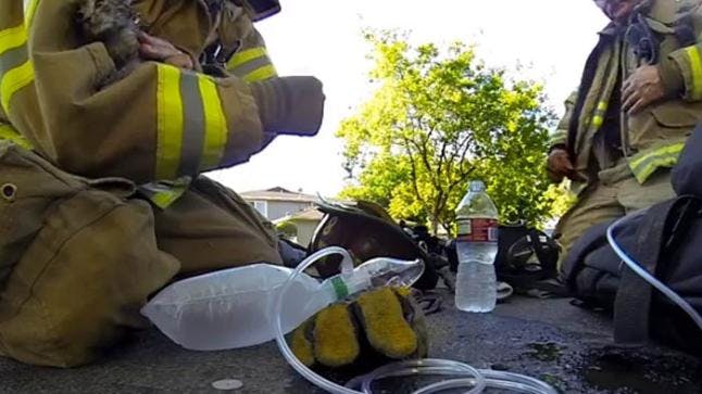 Video shows brave fireman saving tiny kitten from house fire! | Closer