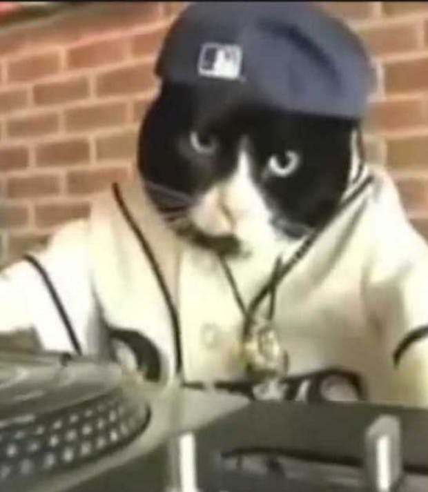 There’s a cat-rap ALBUM made entirely out of cat noises and it’s ...