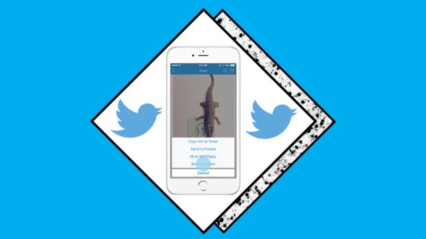 Twitter Are Doing Something About Their Trolling Problem