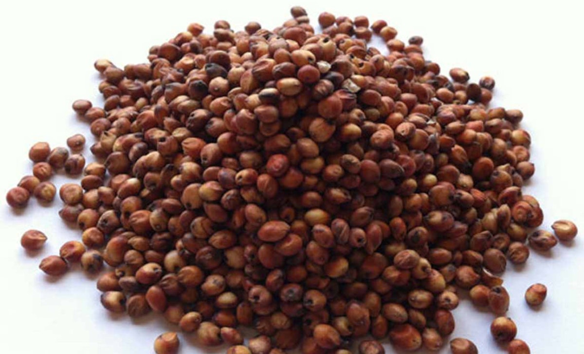 Know Your Grains: The 12 New Supergrains You Should Be Buying Now | Grazia